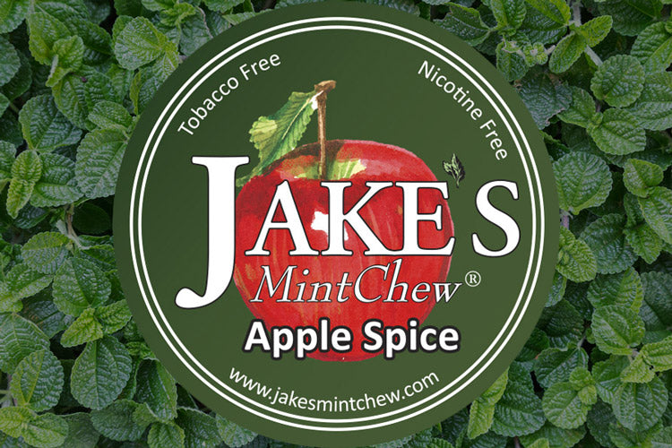 Chewing Tobacco Alternative — Pouches and Long Cut — Jake's Mint Chew