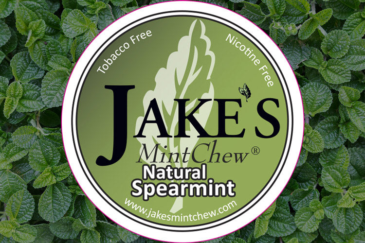 Chewing Tobacco Alternative — Pouches and Long Cut — Jake's Mint Chew